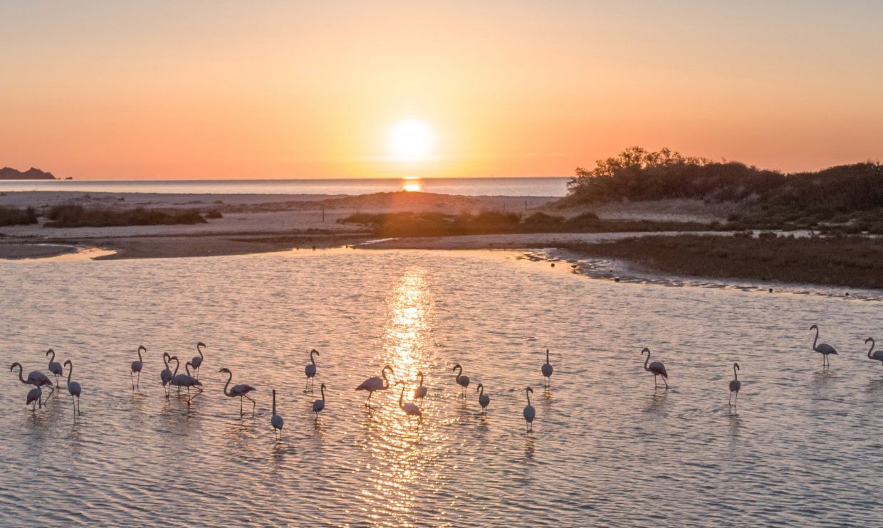 Letters from Sardinia | discover-sardinia.com