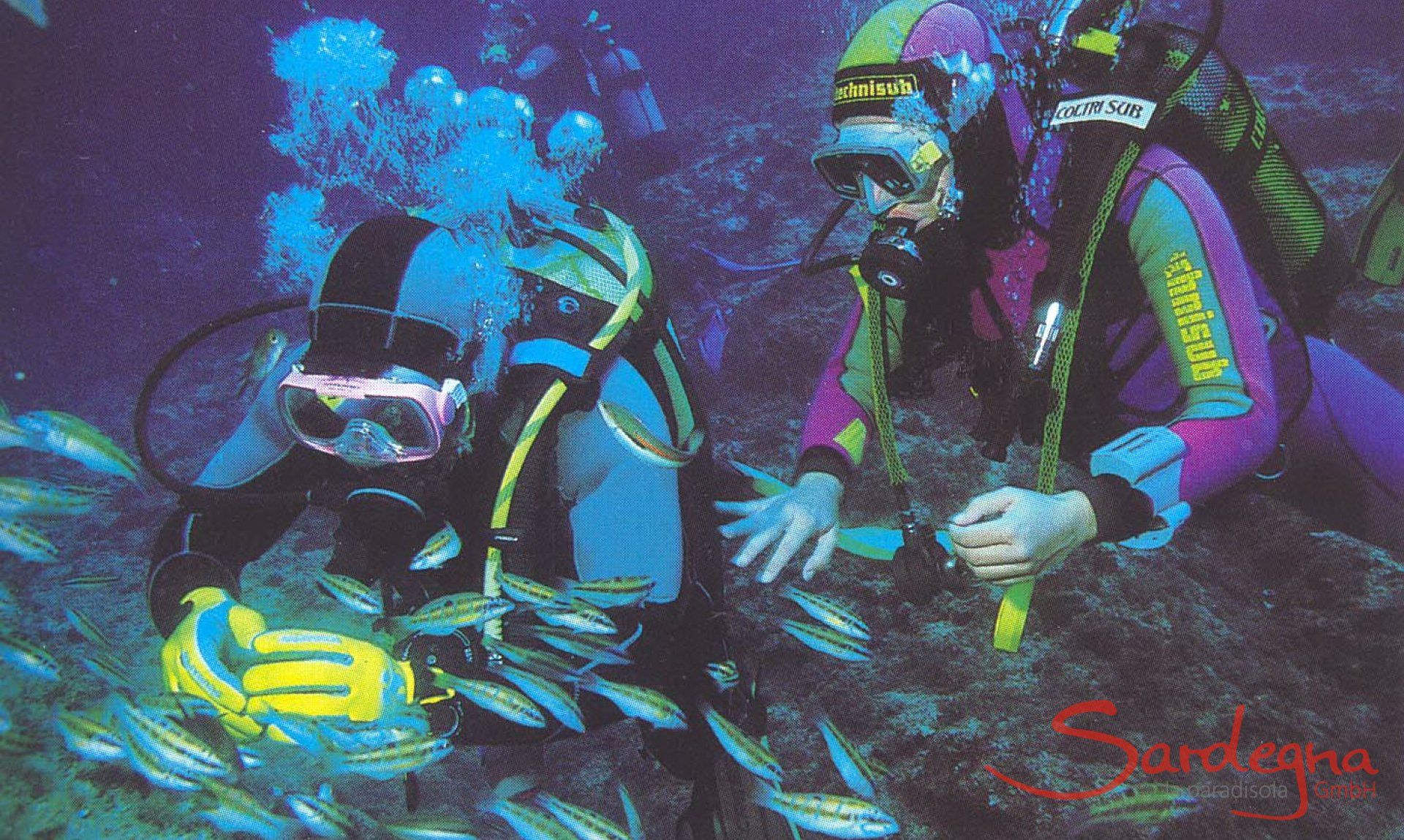 Diving in Sardinia: explore an underwater paradise | discover-sardinia.com