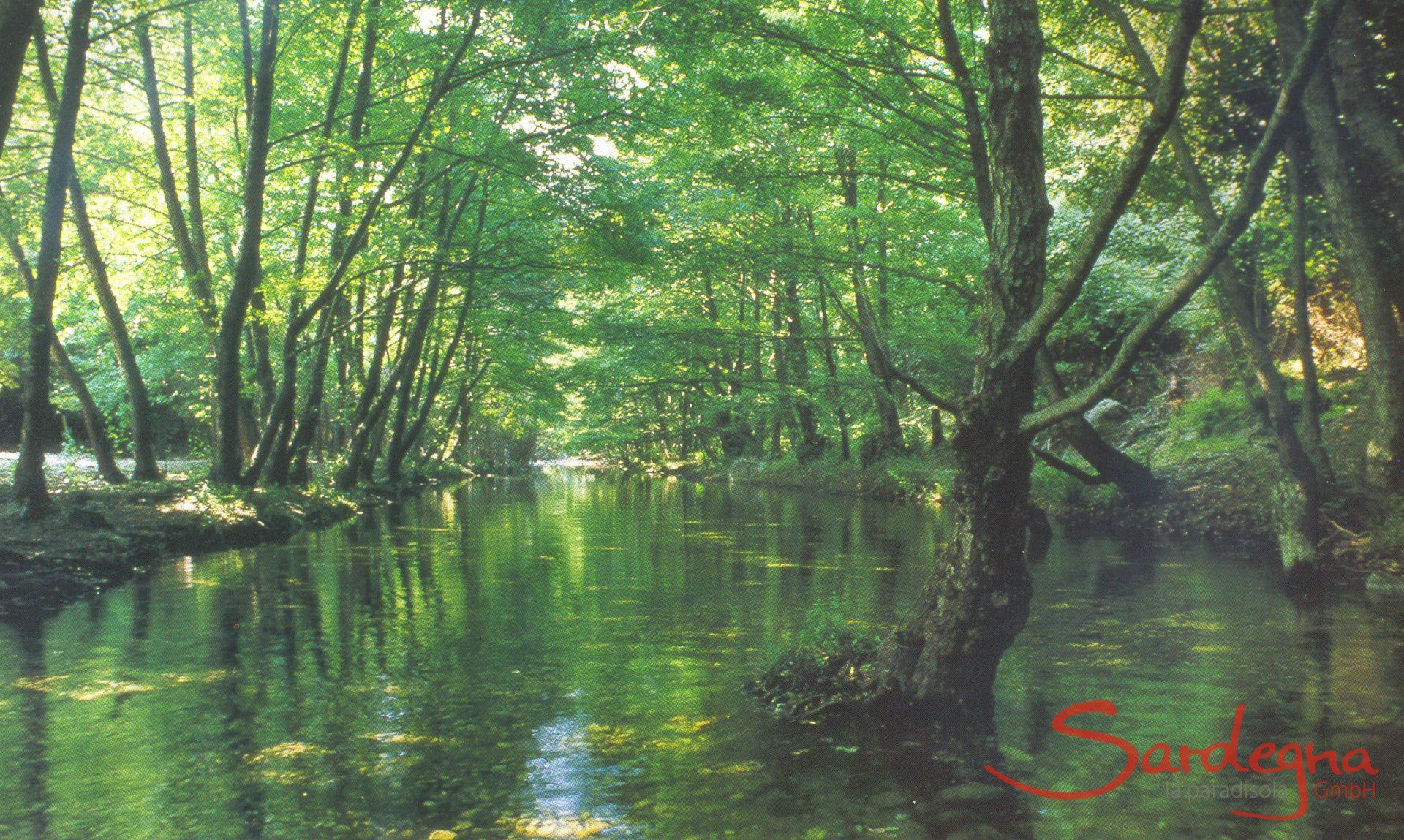 Nature of Sardinia | discover-sardinia.com