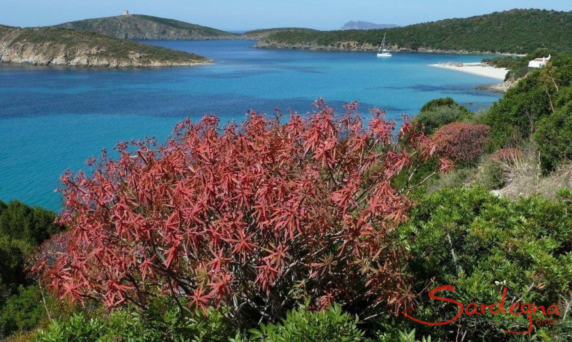 Chia - a quaint village nestled between beach and dunes | discover ...