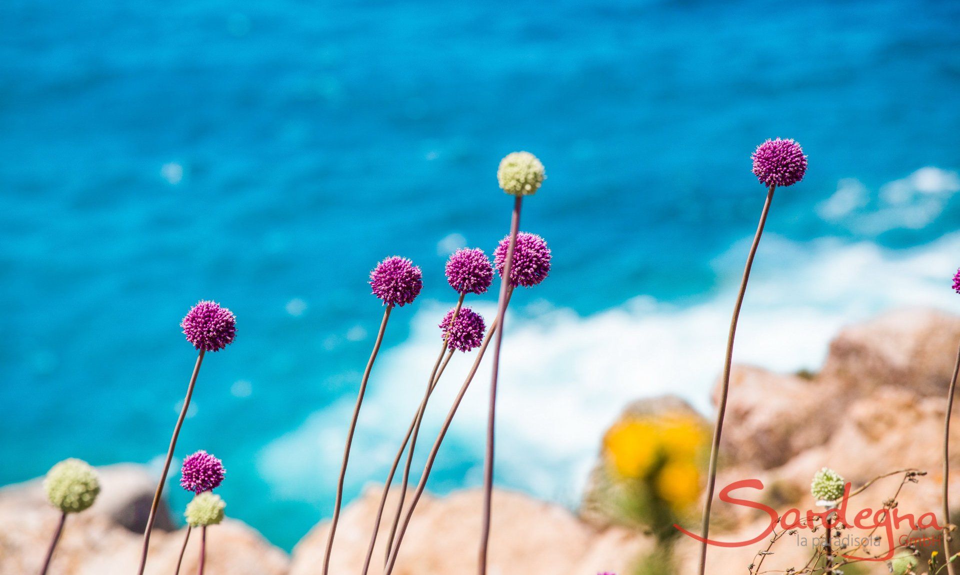 Portobello - a beautifully peaceful village in the north of Sardinia ...
