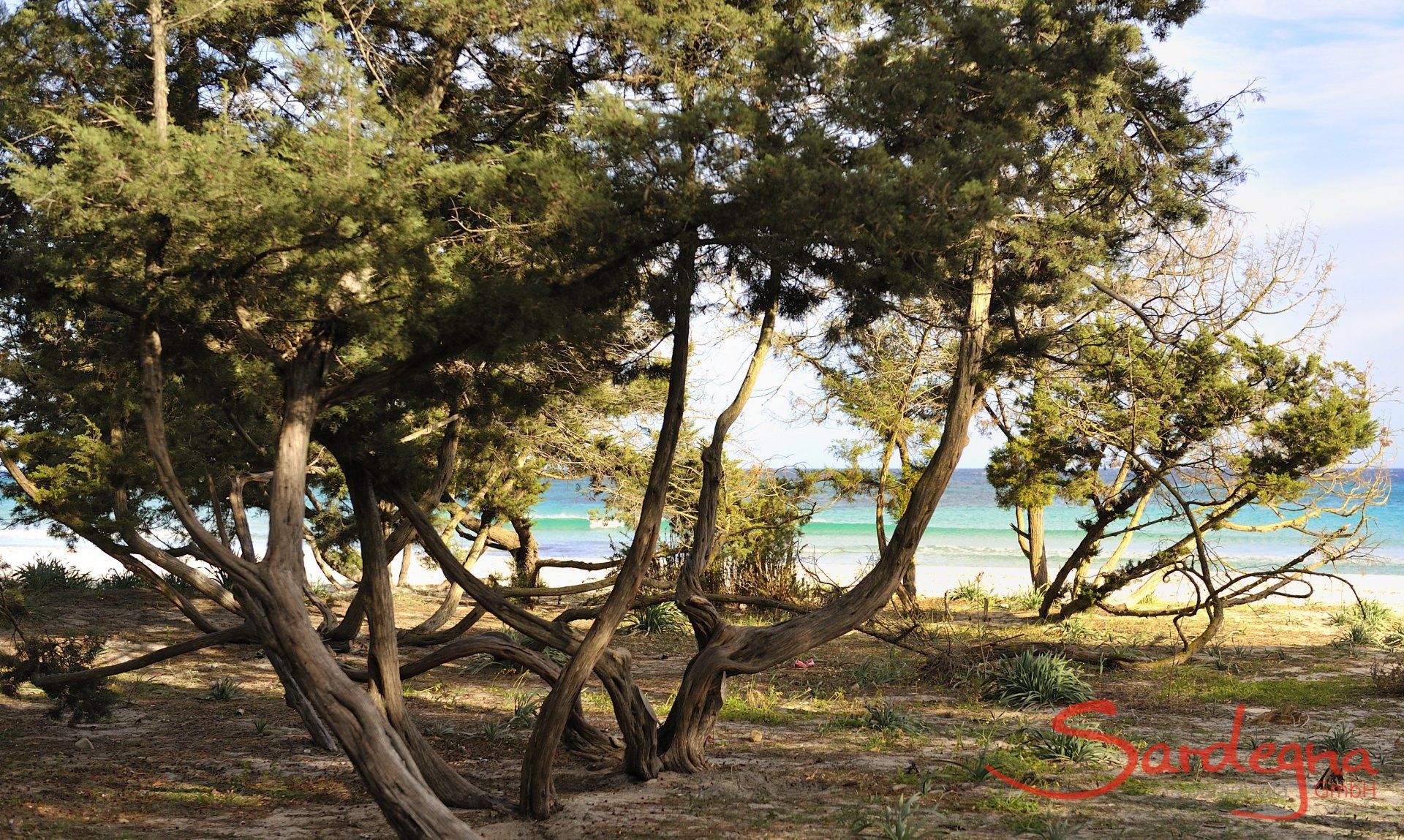 Cala Liberotto - Idyllic bays with rocks and maquis | discover-sardinia.com